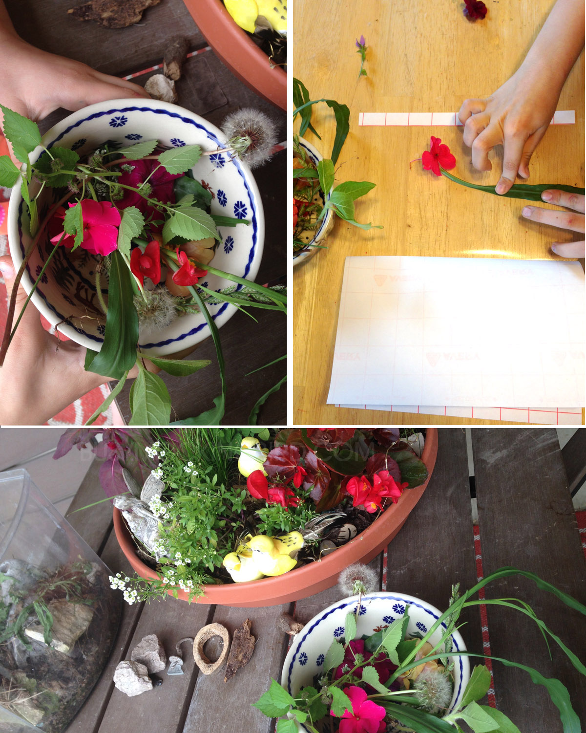 Fun Little Nature Project | busy mockingbird